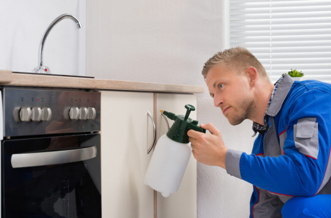 New York City Adds Dry Ice to its Arsenal of Rat Extermination Methods ...