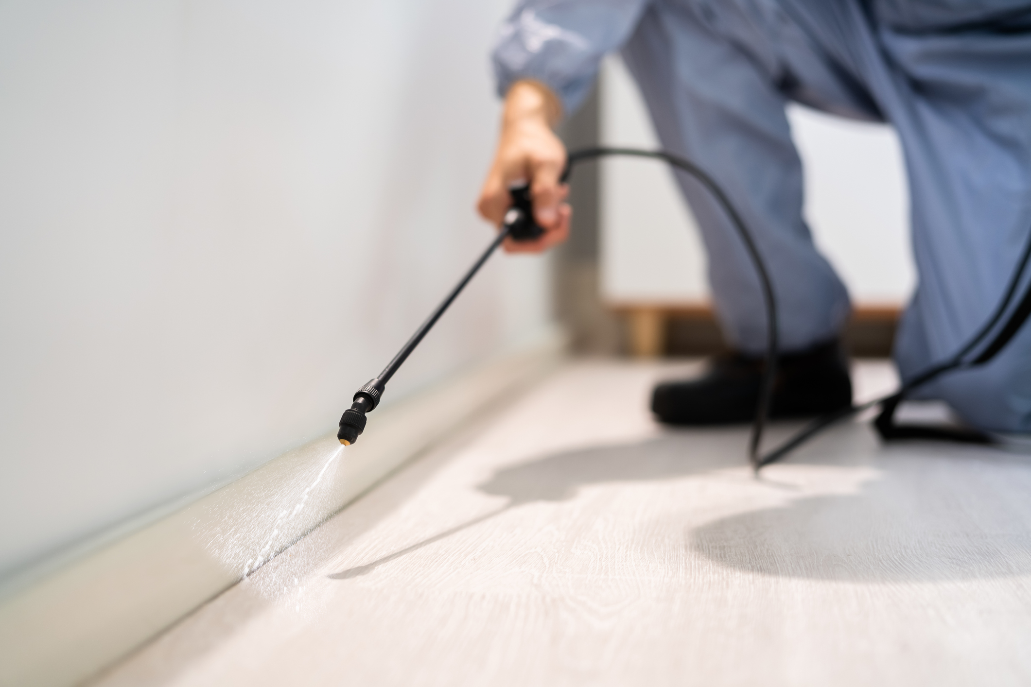 Prepare for Pests as Winter Comes to an End - Allison Pest Control ...