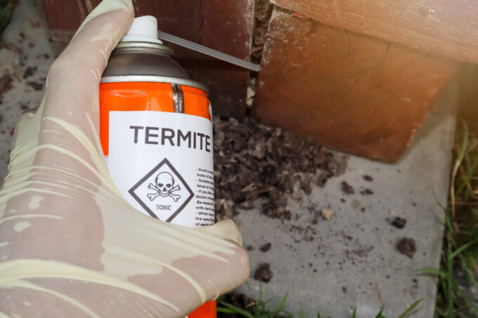 Do It Yourself Termite Extermination - Can You Do It? - Allison Pest ...