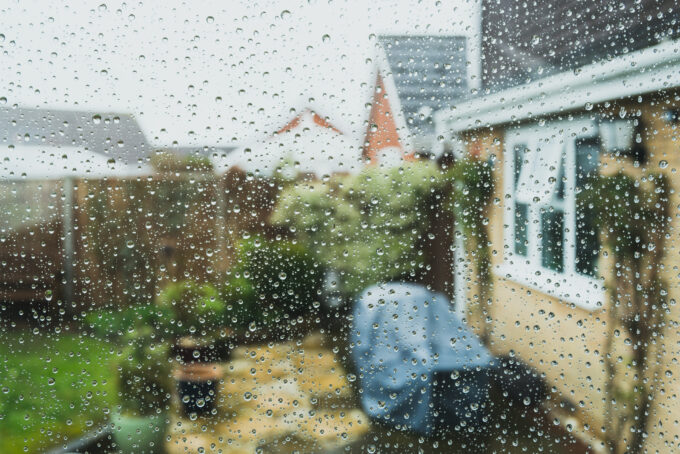 Wet Weather and a Warm Spring Invite Pesky Pests - Allison Pest Control ...
